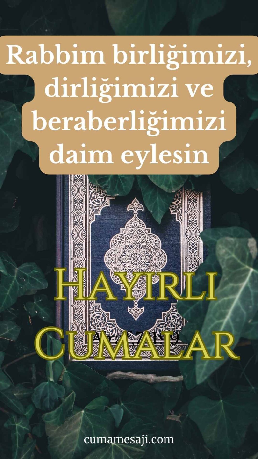 100+ Resimli En Özel Cuma Mesajları - Cuma Mesajı