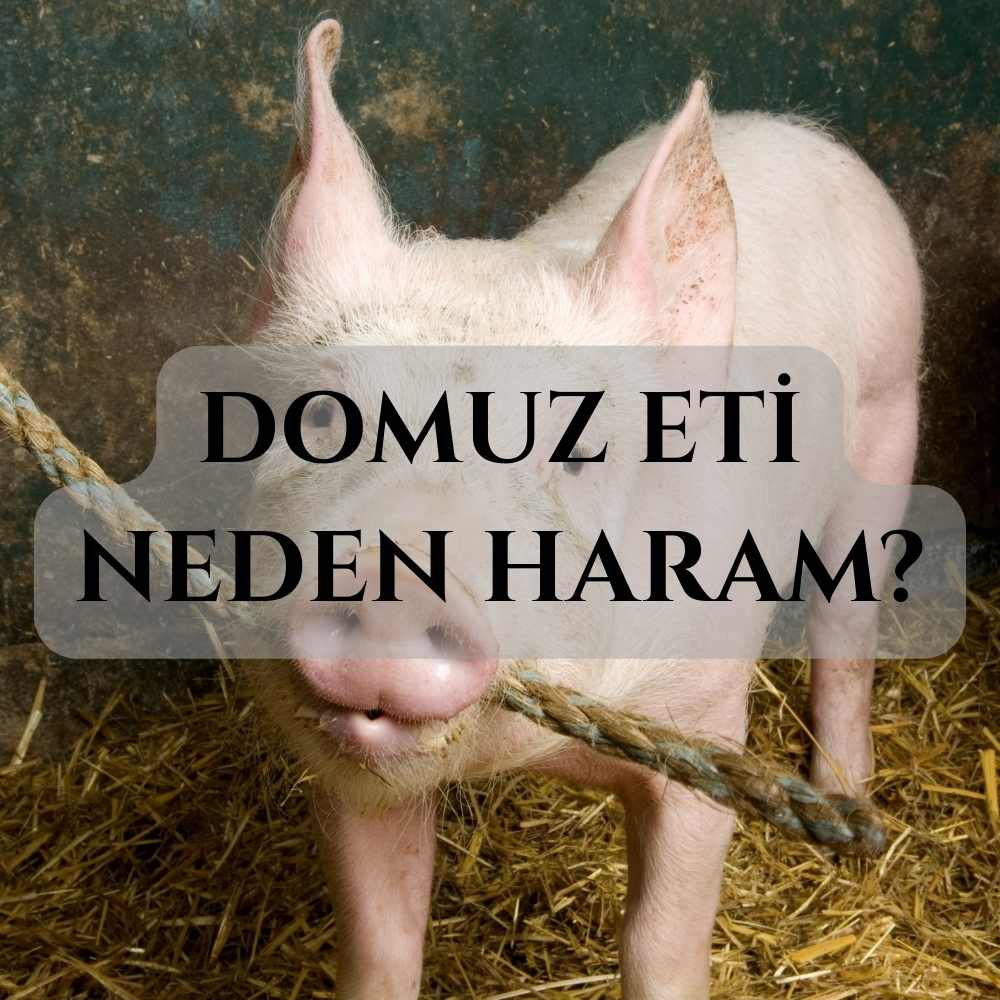Ne Haram Ne Haram Değil Tüm Soru ve Cevaplar - Cuma Mesajı