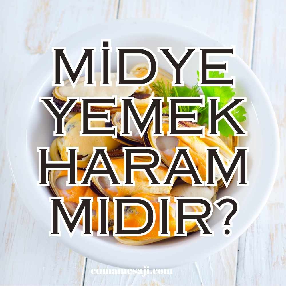 Ne Haram Ne Haram Değil Tüm Soru ve Cevaplar - Cuma Mesajı