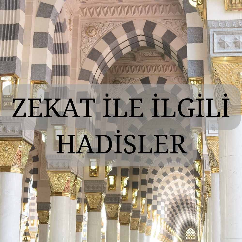 Zekat Kimlere ve Nasıl Verilir? - Soru ve Cevaplar - Cuma Mesajı